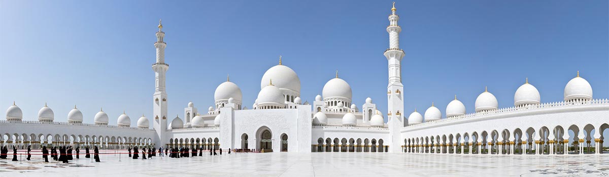 Selwyn Community Education | Adult Education in Auckland