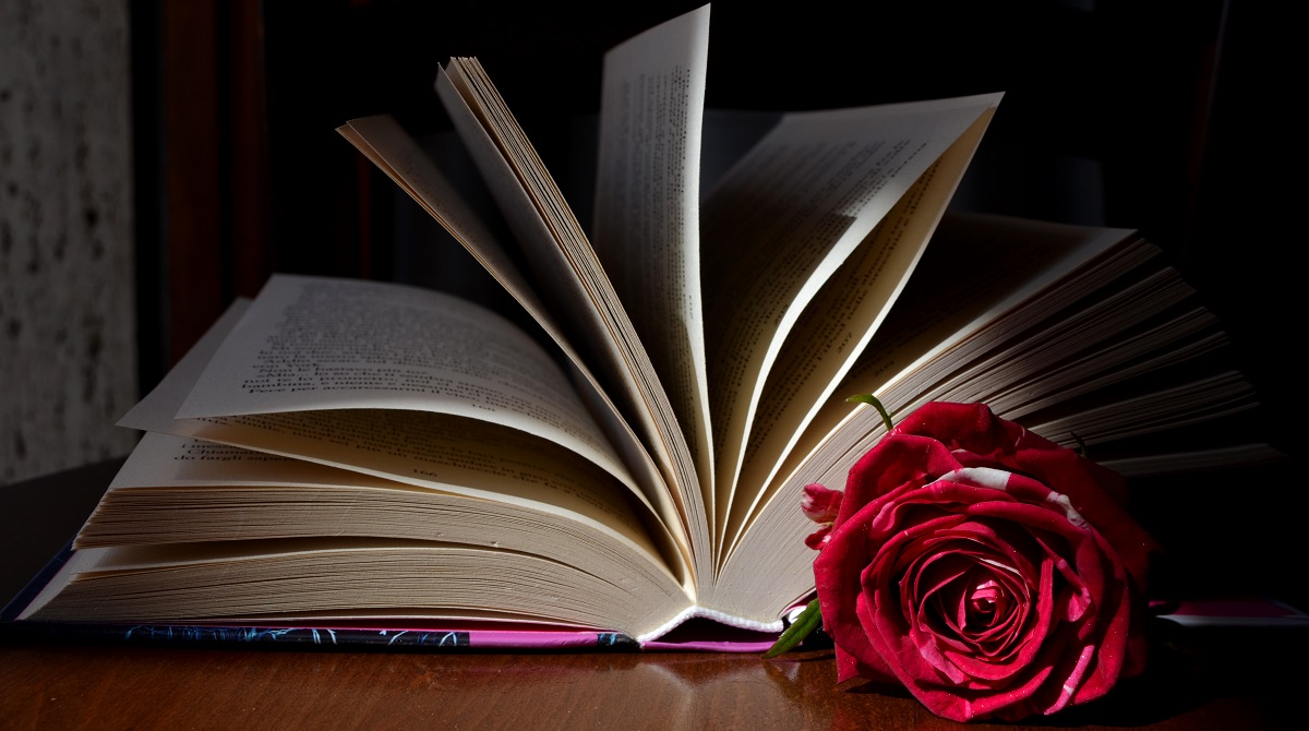 Selwyn Community Education | Adult Education in Auckland